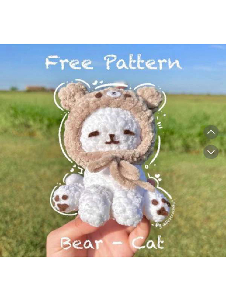 Bear Cat | PDF