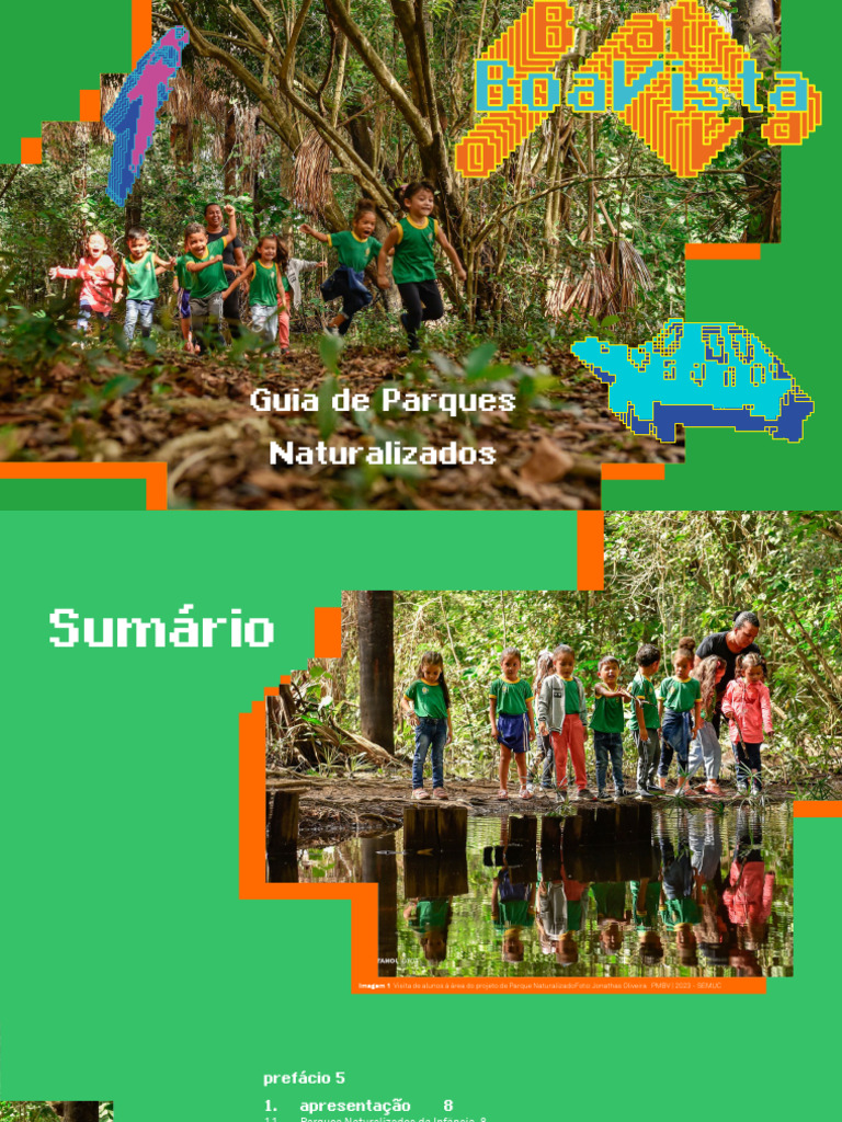 Boa Vista Guia de Parques Naturalizados R02 V02 Simples | PDF | Brinquedos | Ambiente natural