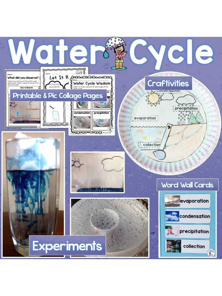 Water Cycle Science Experiments Guide | PDF | Precipitation | Water