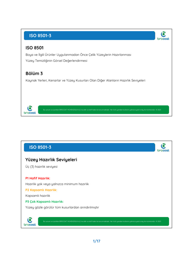 Brocoat Iso 8501 3 | PDF