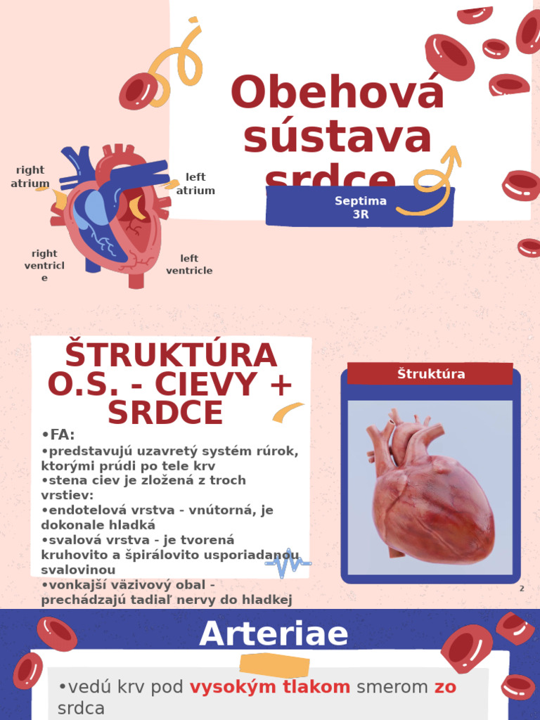 Srdce Človeka-1 | PDF