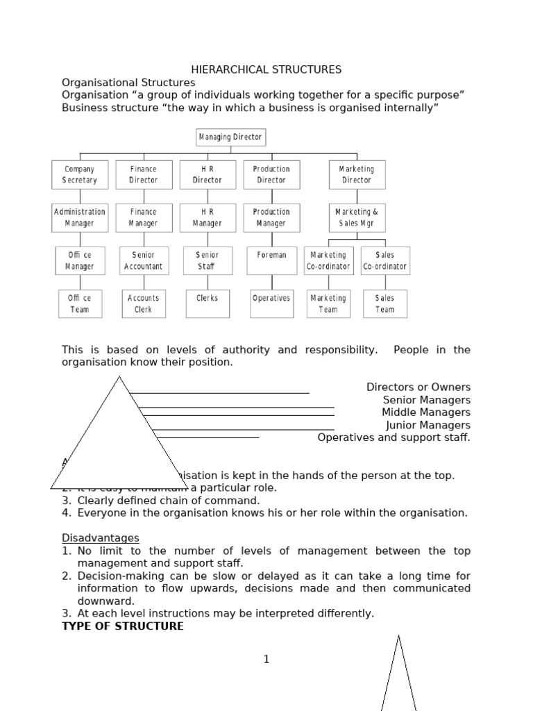 Organisational Structure | PDF | Organizational Structure | Business