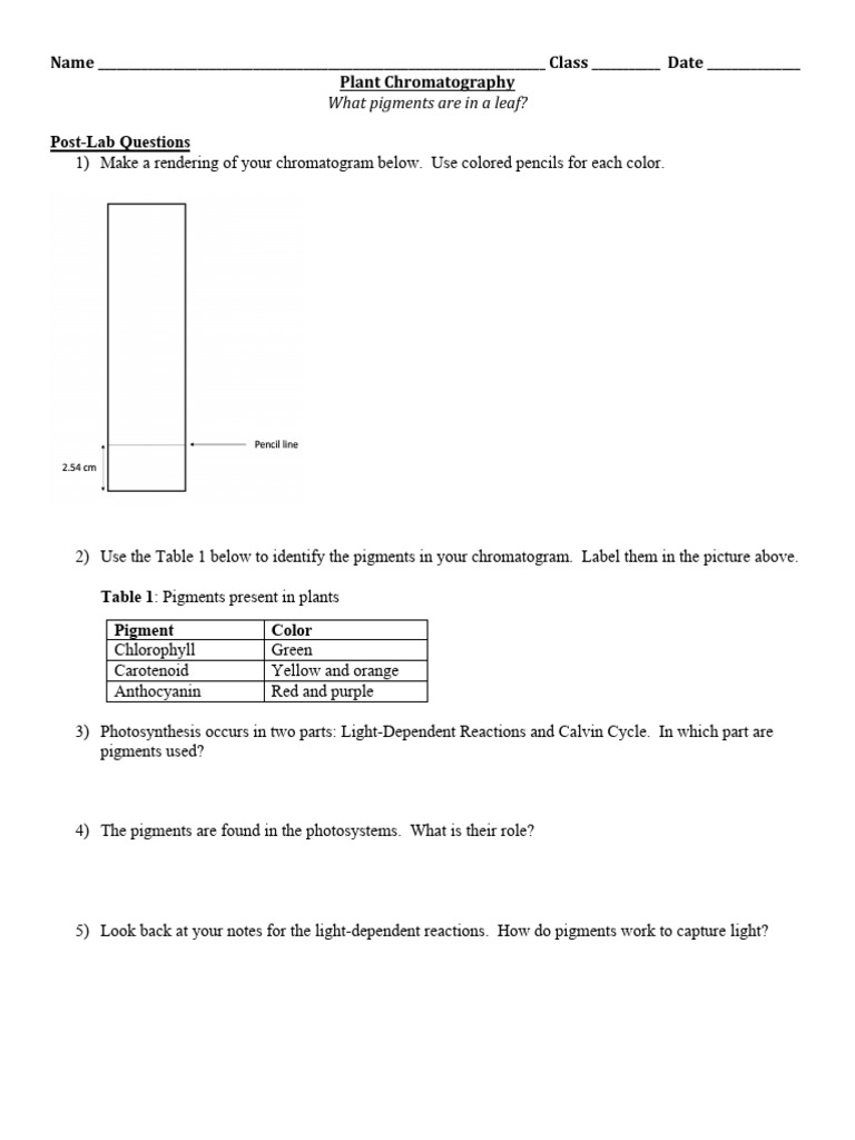 Post-Lab Plant Chromatography - Acc Bio 2024-2025 | PDF