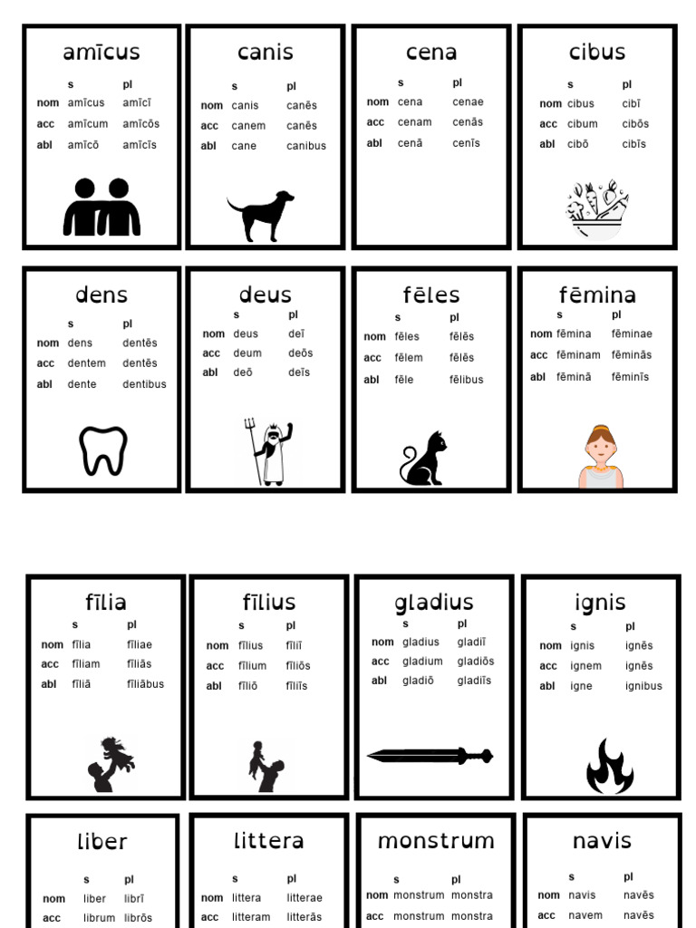 Latin Noun Cards Practice | PDF
