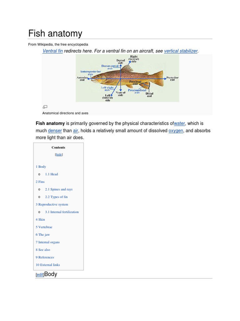 Fish Anatomy | Vertebral Column | Jaw