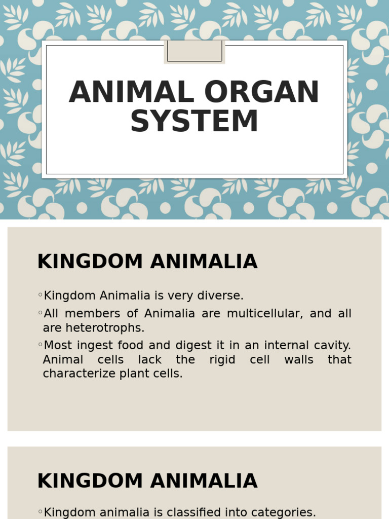 Animal Organ System GENBIO12 | PDF | Neuron | Digestion