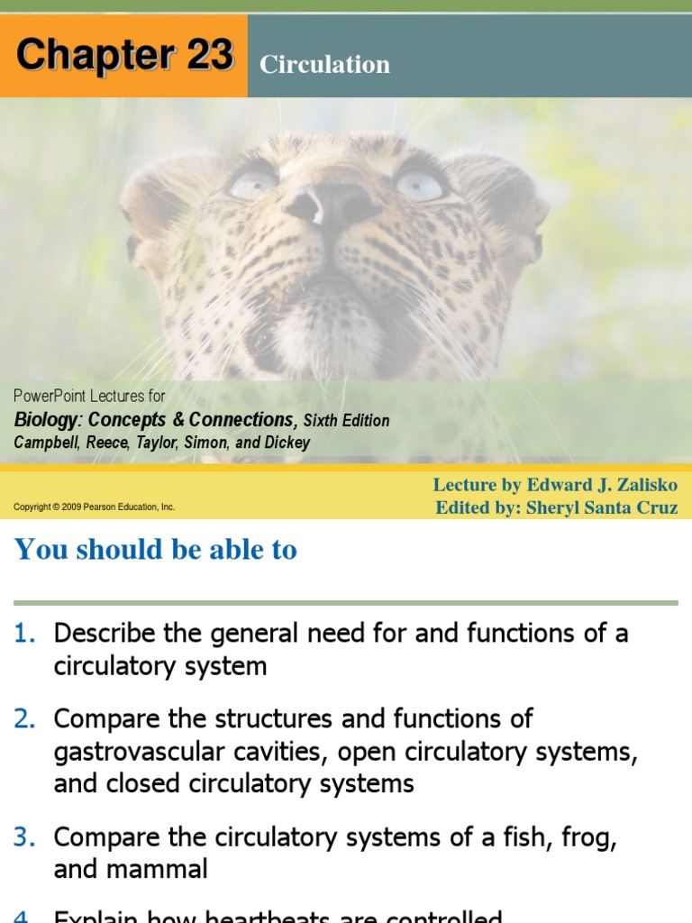 Circulation: Biology: Concepts & Connections | PDF | Circulatory System ...