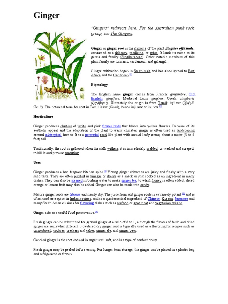 Ginger: "Gingers" Redirects Here. For The Australian Punk Rock Group, See The Gingers | PDF ...