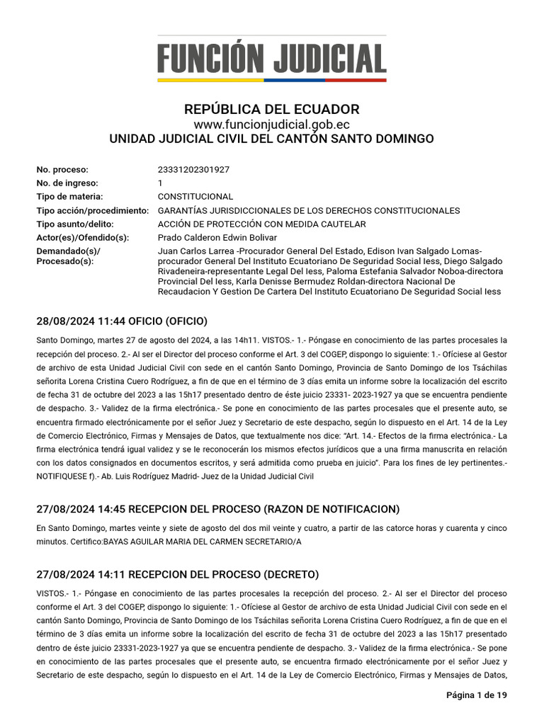 Expel 23331202301927 25030098 11092024 | PDF | Documentos legales | Ley ...