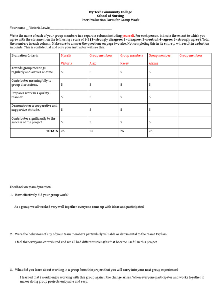 Nursing Group Work Peer Evaluation Form | PDF | Psychology | Human ...