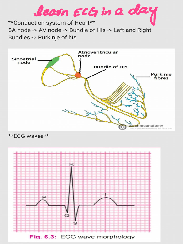 ECG Ospe Learning | PDF