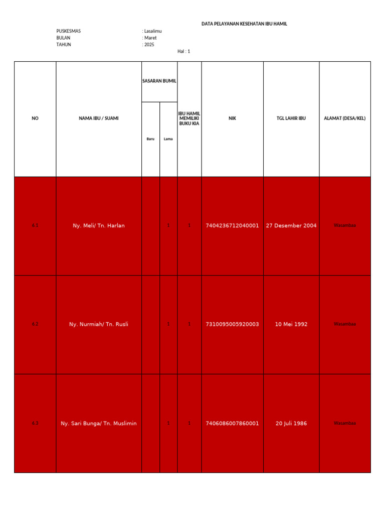 Laporan Ibu Maret 2025 Wasambaa | PDF