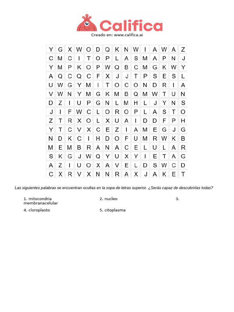 Sopaletras Califica | PDF