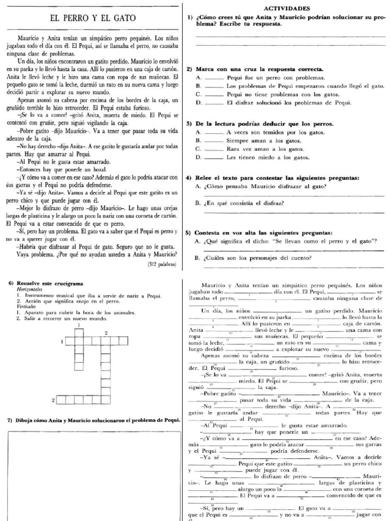 Plan Lector El Perro y El Gato | PDF