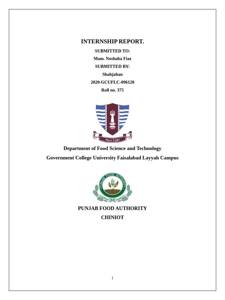 Internship Report Titles Pages | PDF