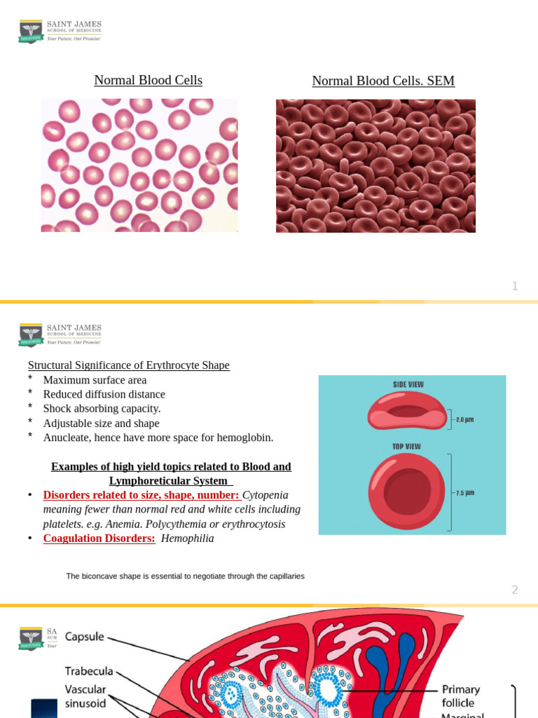 Histo-H-1-Blood Cells Anemia - Riddles | PDF | Anemia | Red Blood Cell