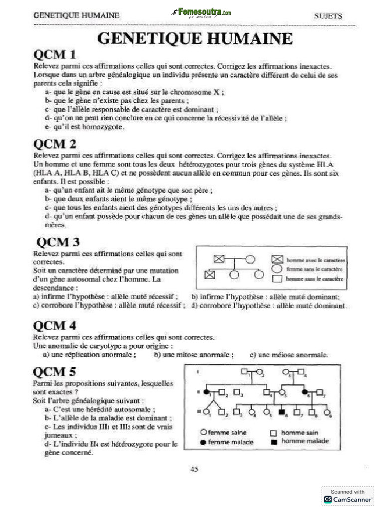 QCM Génétique Humaine by Tehua | PDF
