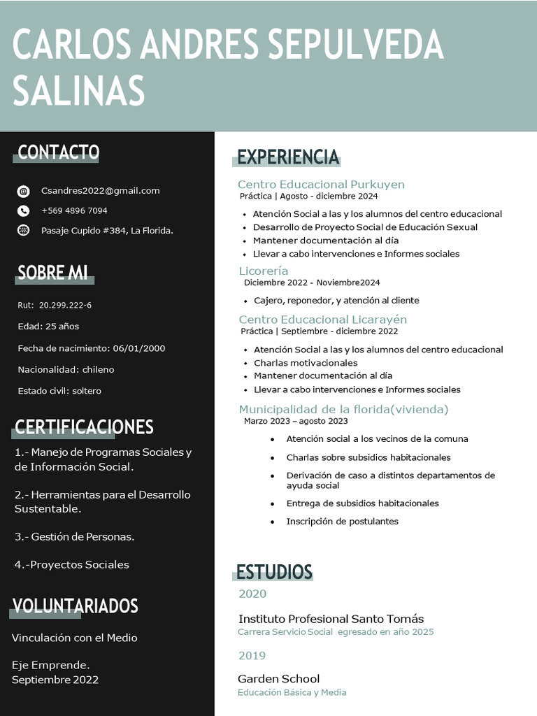 Perfil Profesional de Carlos Sepúlveda | PDF