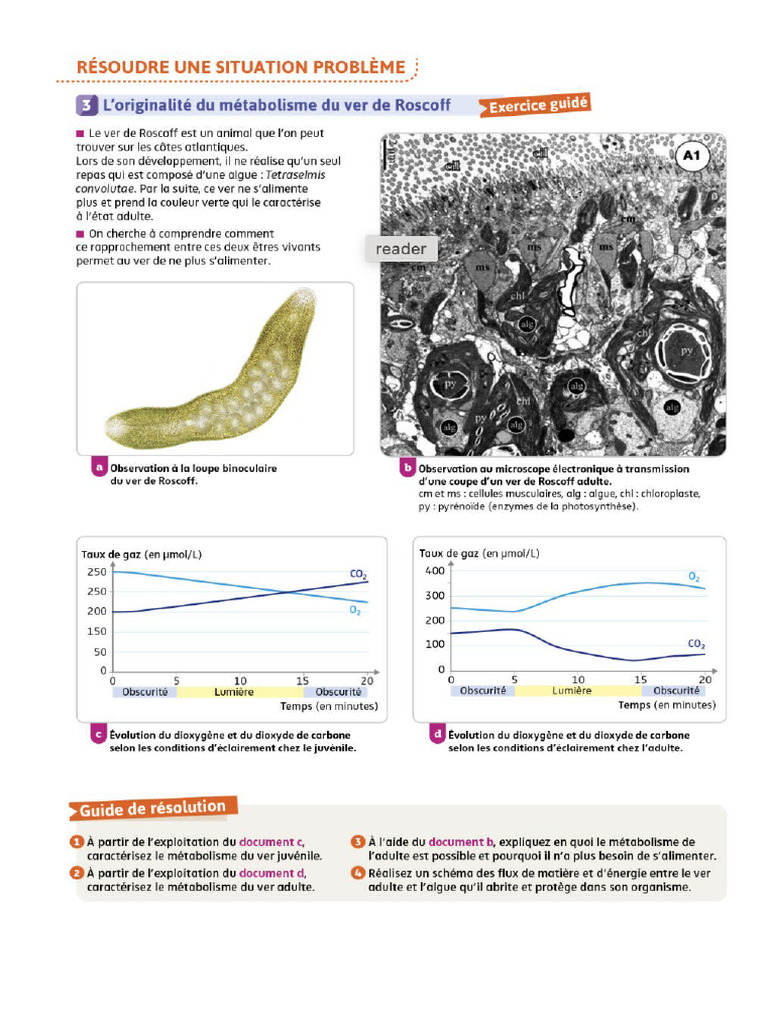 Exercices Supp Métabolisme | PDF