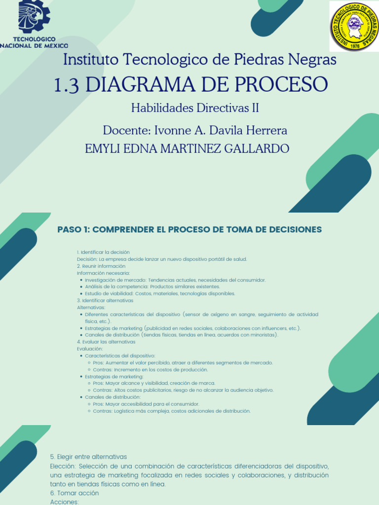 1.3 DIGRAMA DE PROCESO | PDF | Marketing | Investigación de mercado