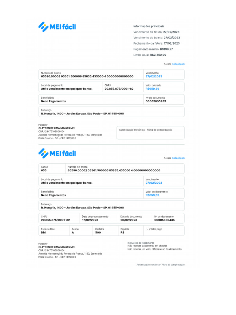 FATURA MEI NEON | PDF