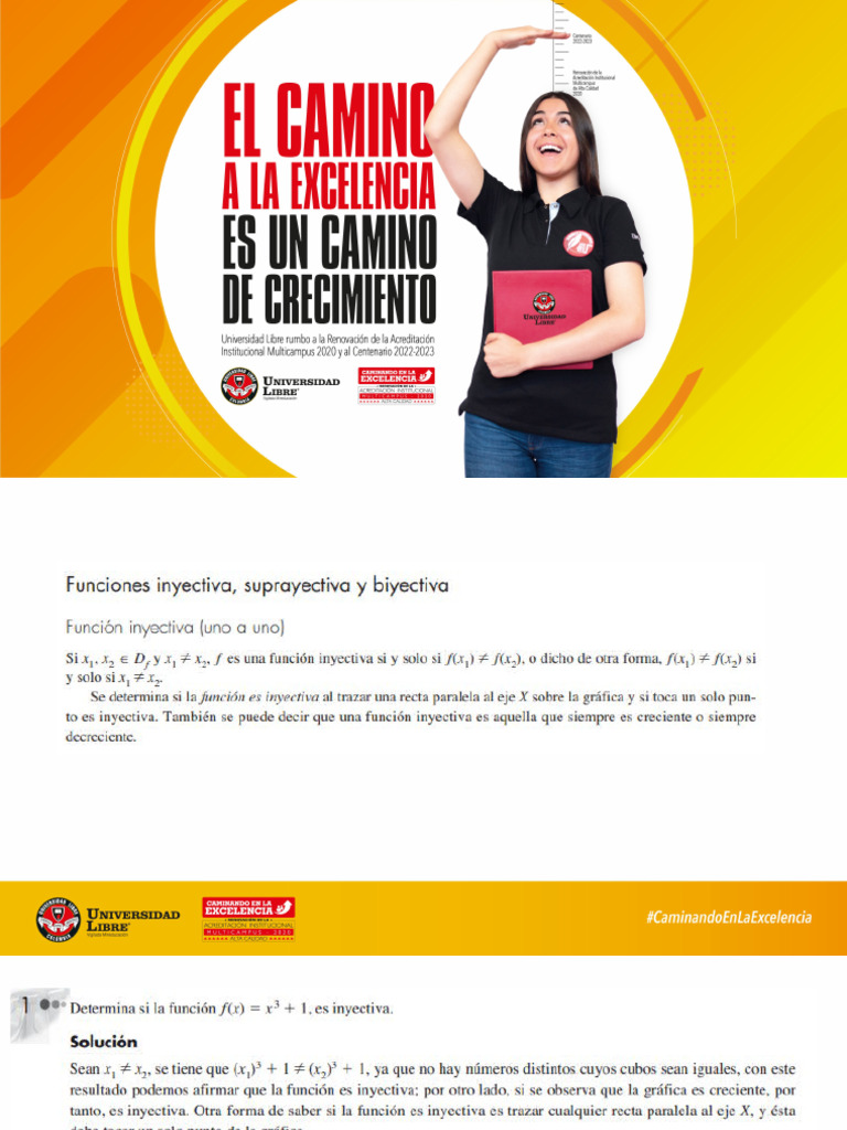 Capitulo 1. 2 fUNCIONES | PDF