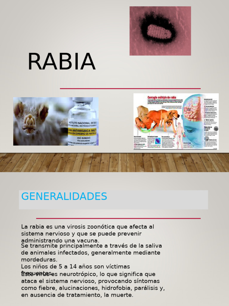 Virus de La Rabia | PDF | Rabia | Virus