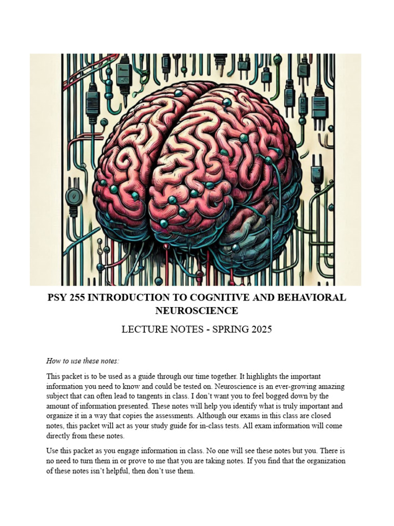 Spatial Summation in Neuroscience | PDF | Chemical Synapse | Neuron
