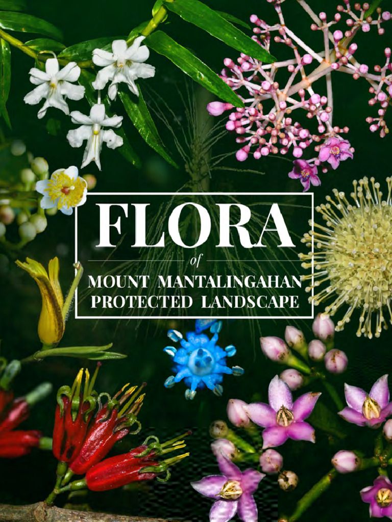 Flora of MMPL Final | PDF | Conservation Biology | Protected Area