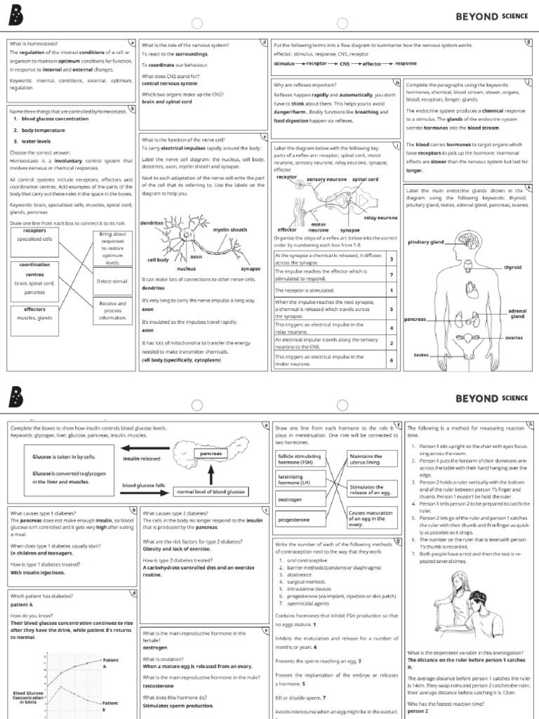 Science Revision Mat Answers PDF | PDF
