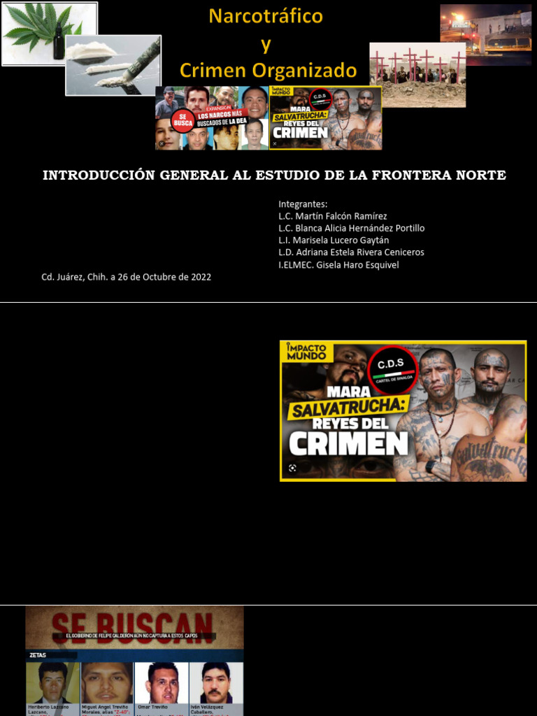 Crimen Organizado y Narcotrafico | PDF | Comercio ilegal de drogas | Crimen organizado