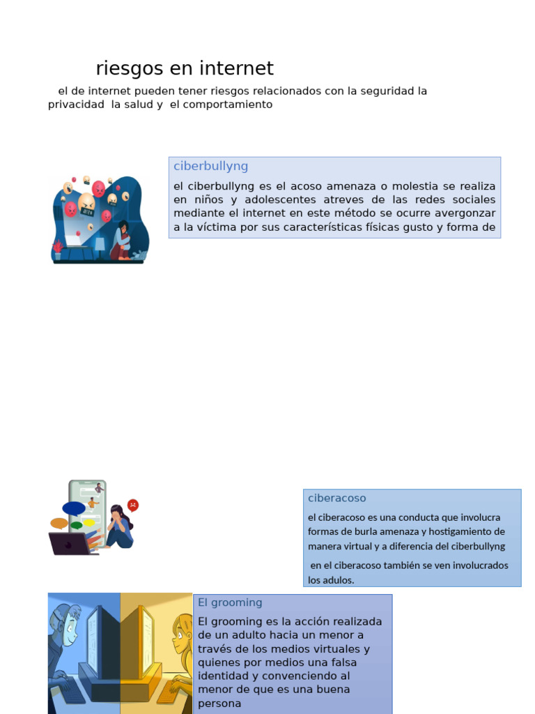 Riesgos en Internet | PDF