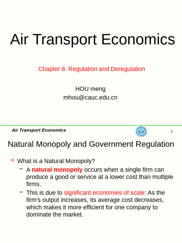 8.government Regulation | PDF | Monopoly | Airlines