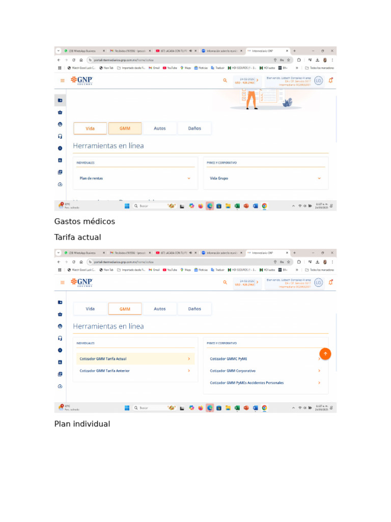 Gastos médicos. gnp | PDF