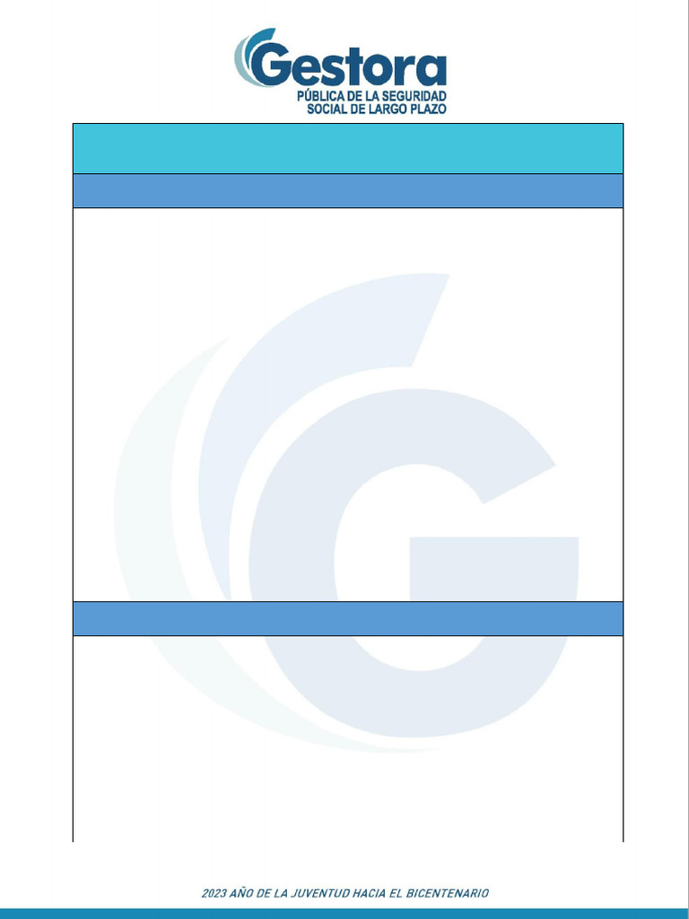 TDRG | PDF | Pensión | Planificación