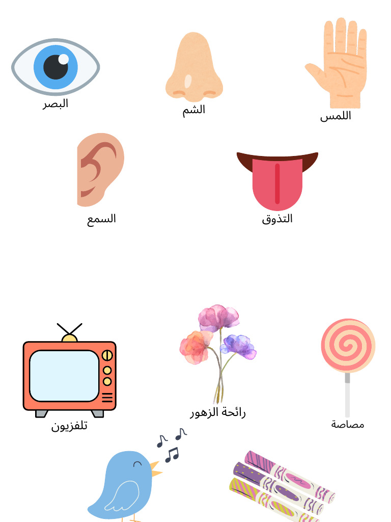 Arabic Senses | PDF