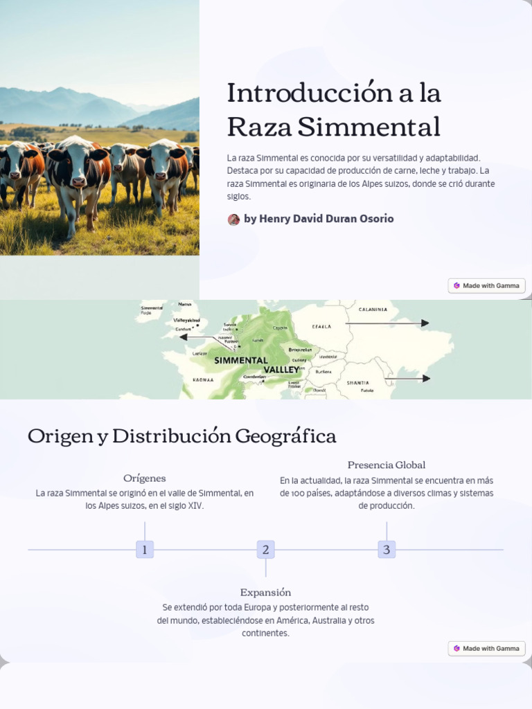 Introduccion-a-la-Raza-Simmental | PDF | Carne | Leche