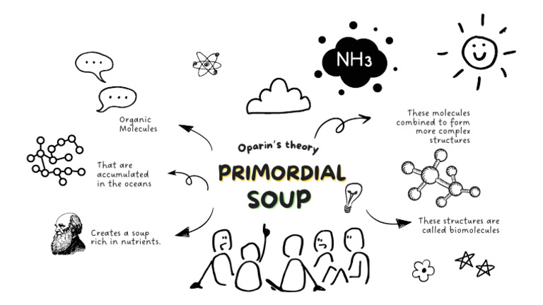 Primordial Soup | PDF