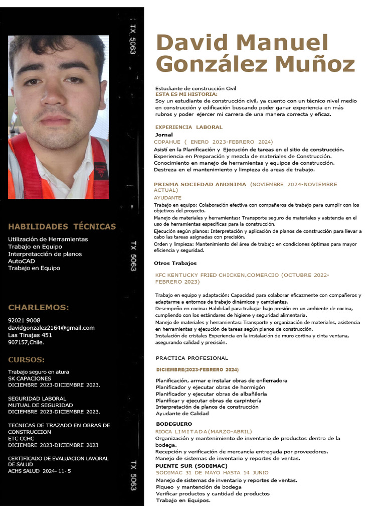 Curriculum David | PDF | Planificación