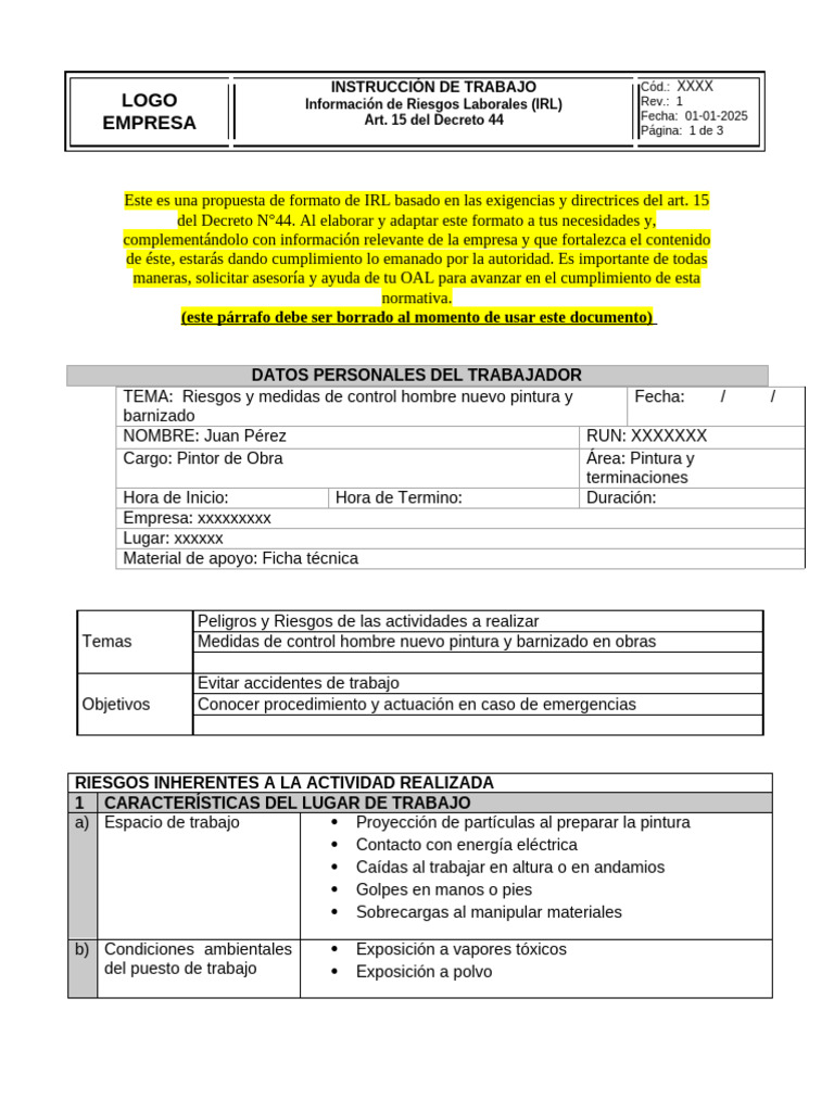 Form Irl Pintor | PDF