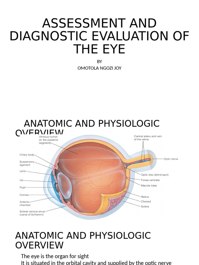 Eye Anatomy and Assessment Overview | PDF | Retina | Human Eye