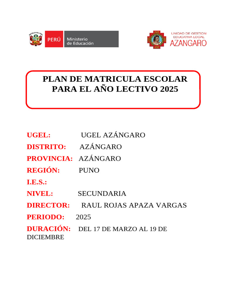 Plan de Matrícula Escolar 2025 Azángaro | PDF | Educación primaria