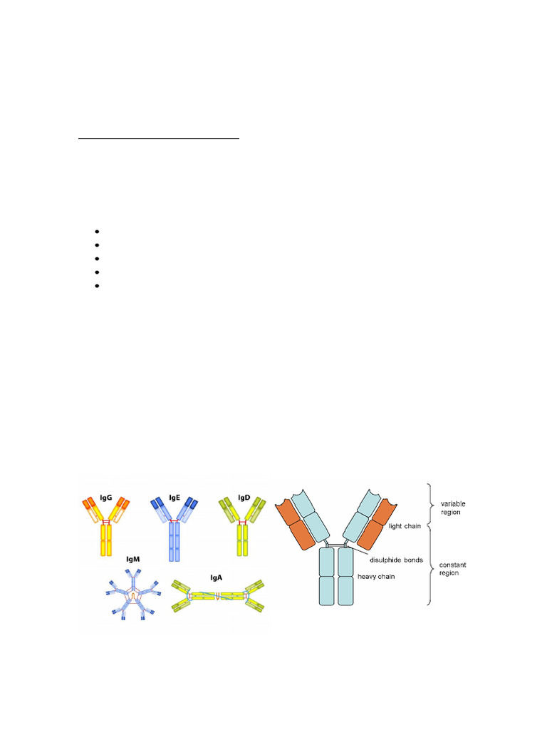 Inmunoanalisis | PDF | Anticuerpo | Elisa