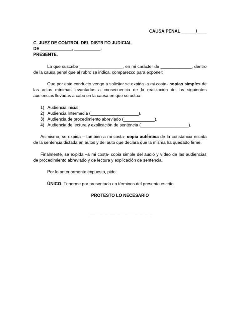 Solicitud de Copias Simples y Autenticas Causa Penal | PDF