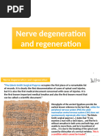 AP Psychology Brain Project: Unit 3: Biological Bases of Behavior | PDF ...