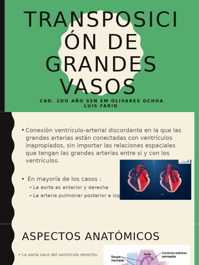 Transposición de Grandes Vasos | PDF