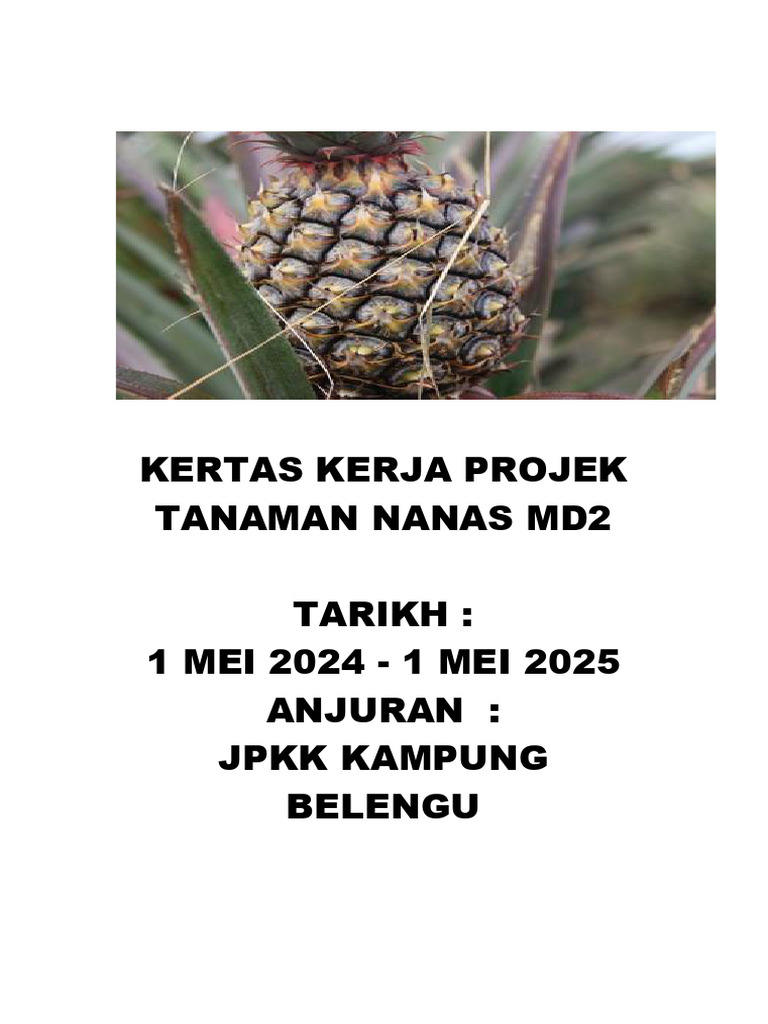 KG Belengu Kertas Kerja Projek Pertanian (Tanaman Nanas) | PDF