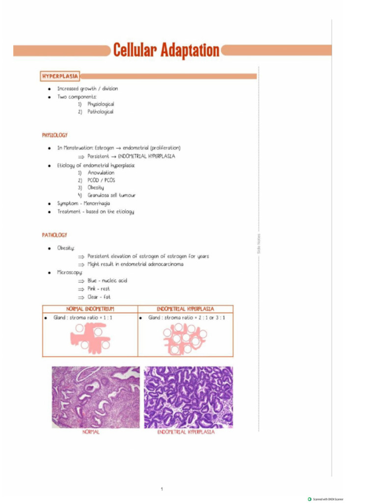 Pathology Notes | PDF