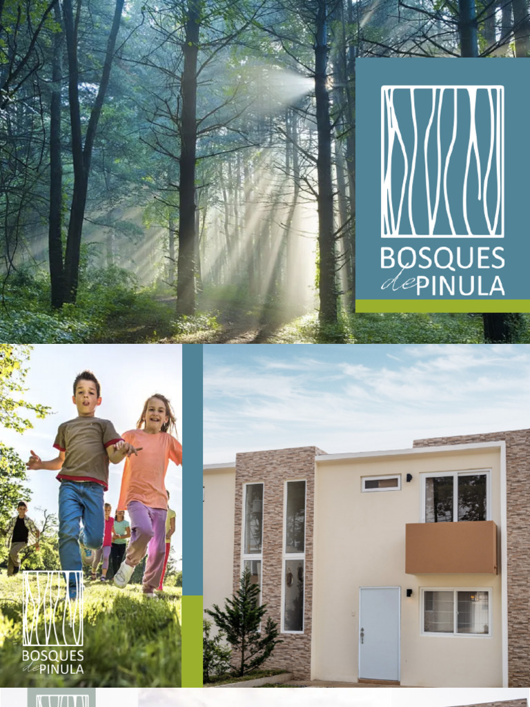 Pres. Bosques de Pinula Feb 25 | PDF