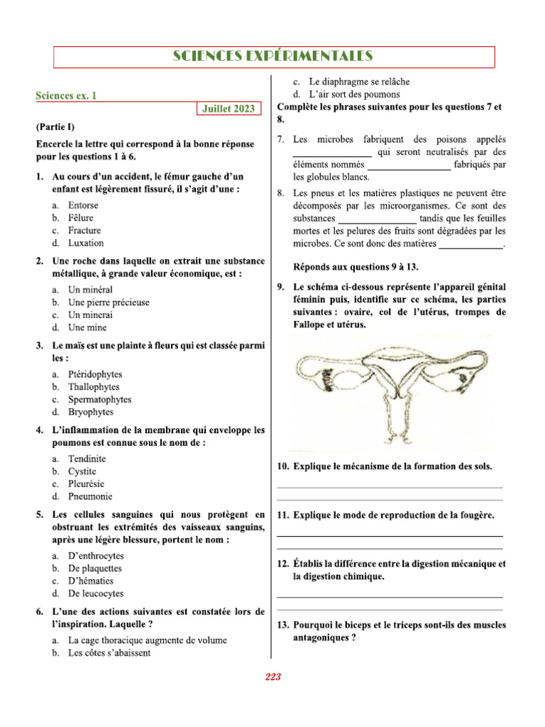 Sciences Experimentales 2010 2023 9e AF 1 | PDF